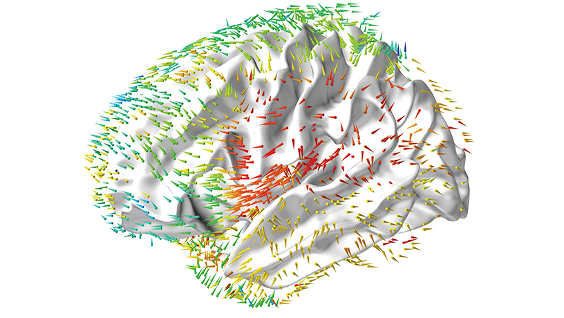How Memory Makes Us Human | Magazine